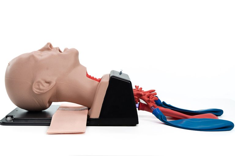 AirSim Combo Bronchi X - bcmedical